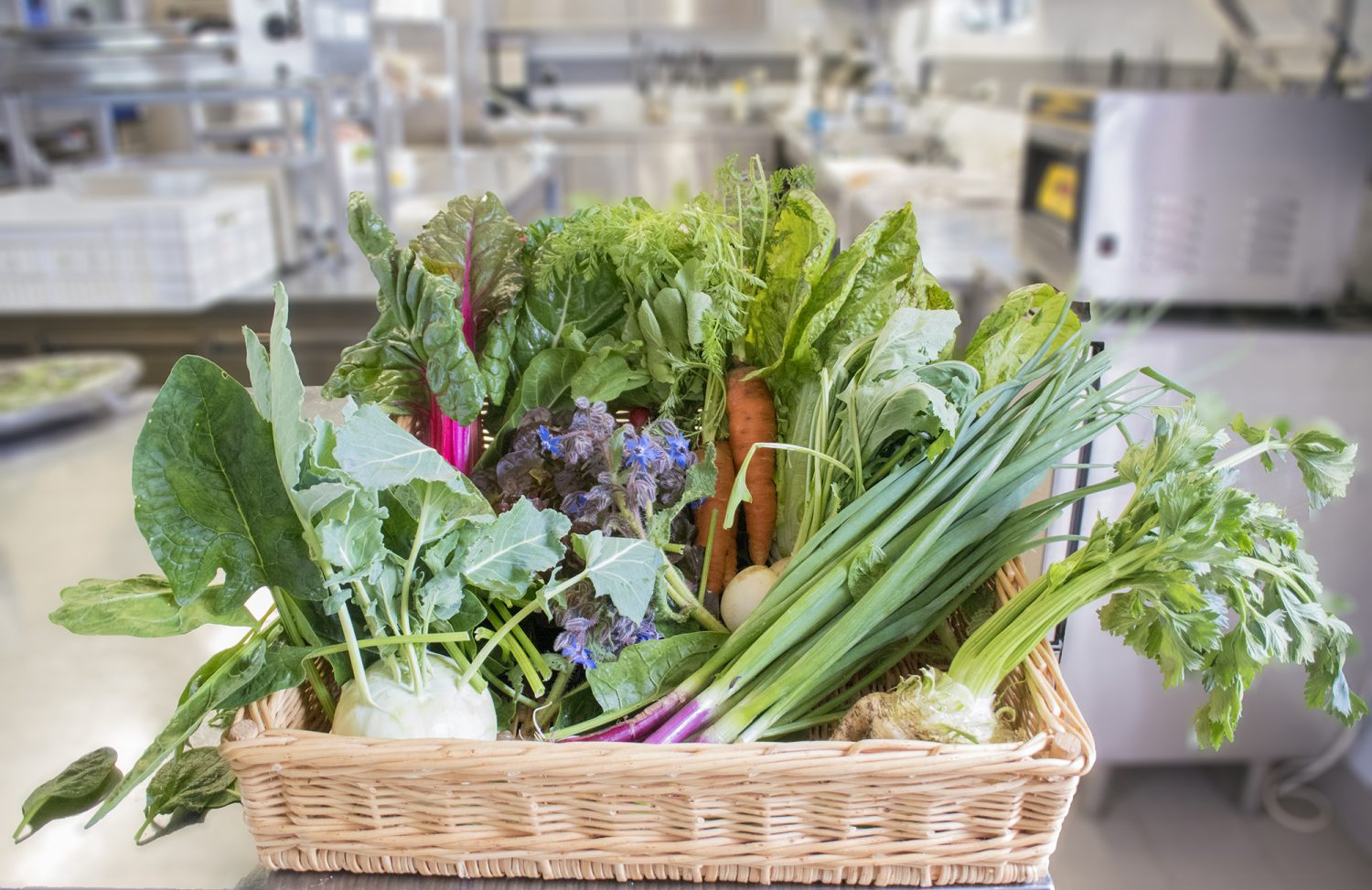 Réception des légumes bio au petit matin en cuisine - Côté Mas