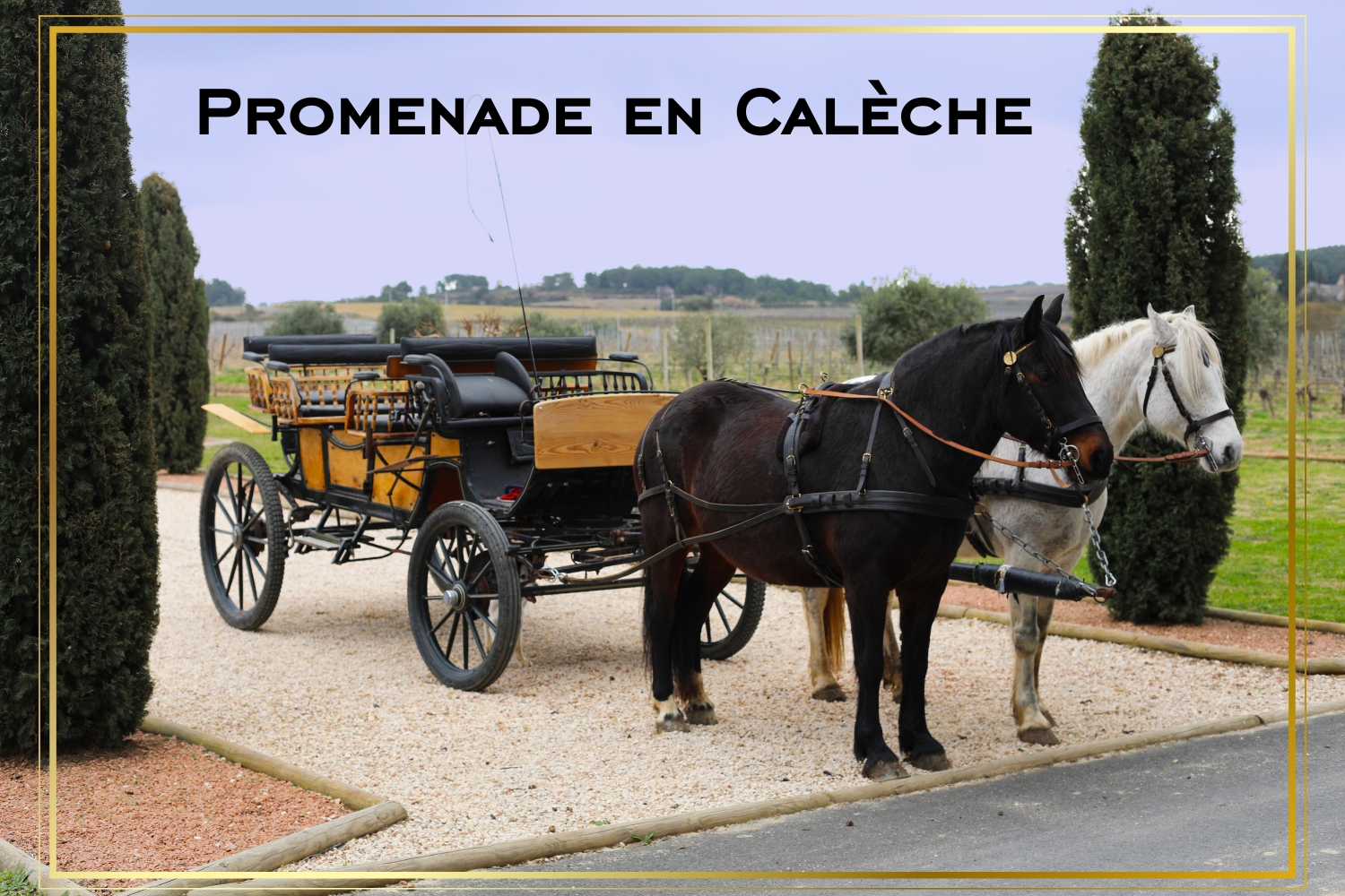 Promenade en Calèche - Côté Mas